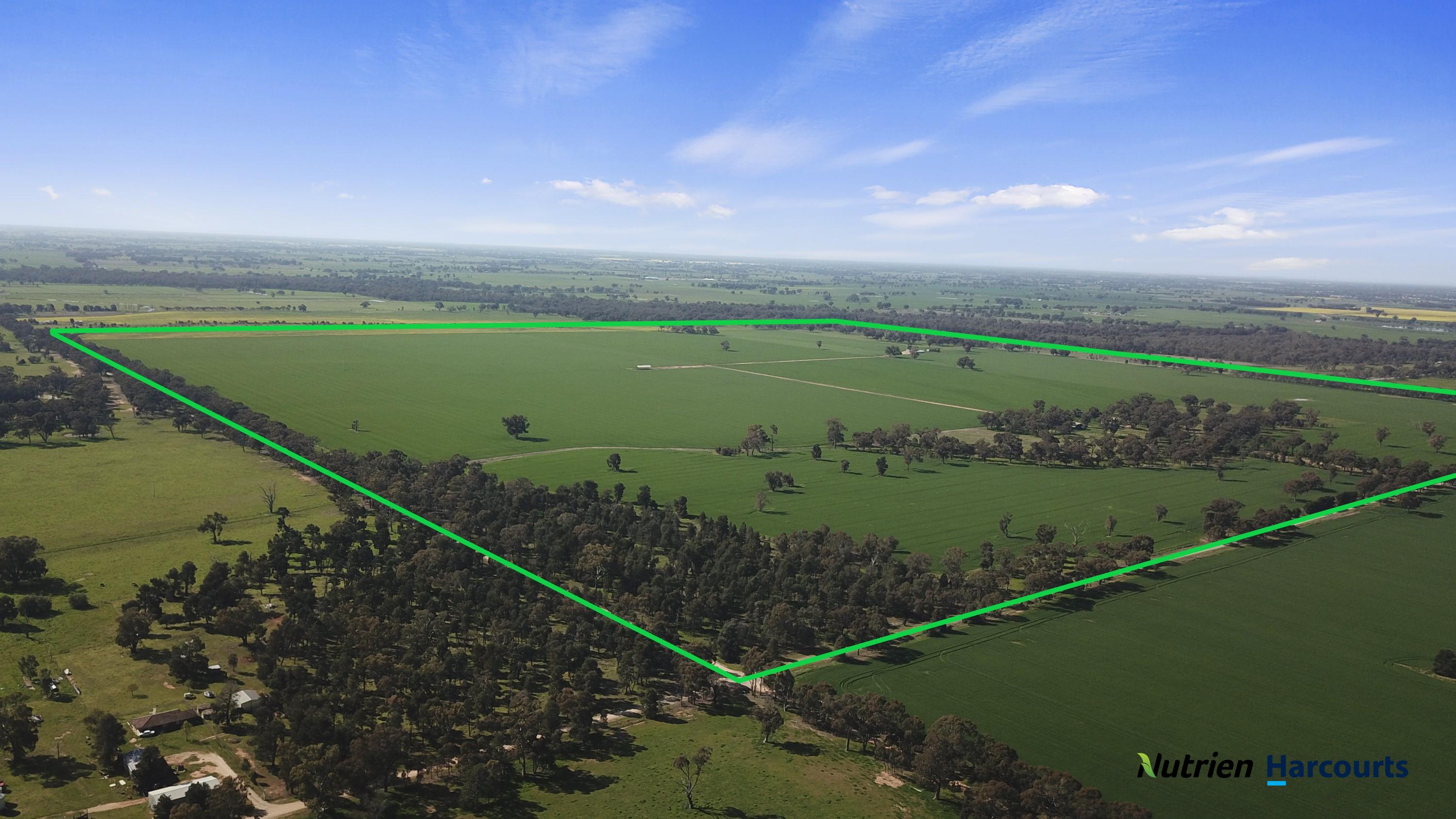 621 Ross Road, KAARIMBA, VIC 3635 - Cropping Sold - nutrien.harcourts.net