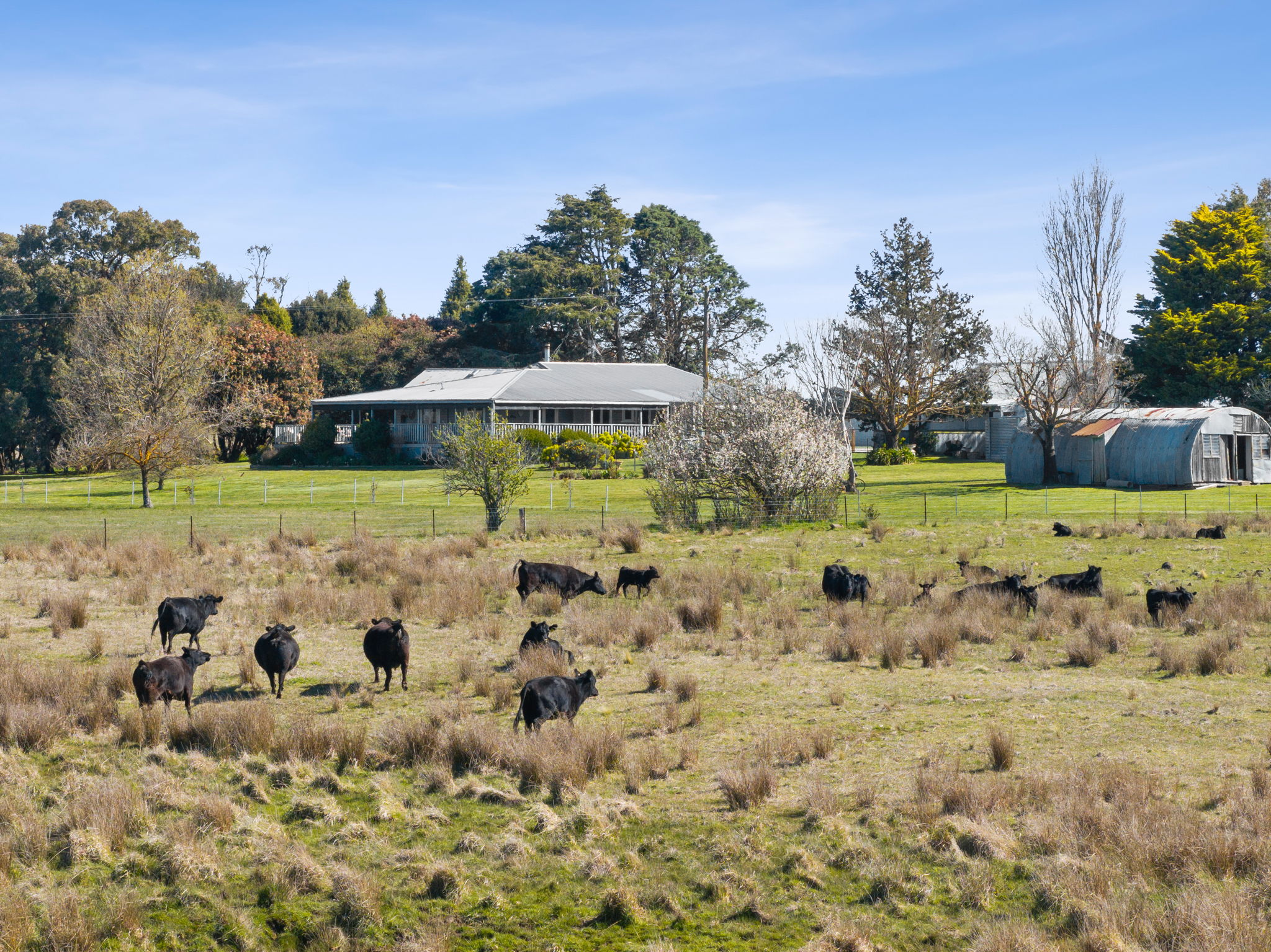 291 Chapmans Lane, Taralga, NSW 2580 Auction | Farmbuy.com