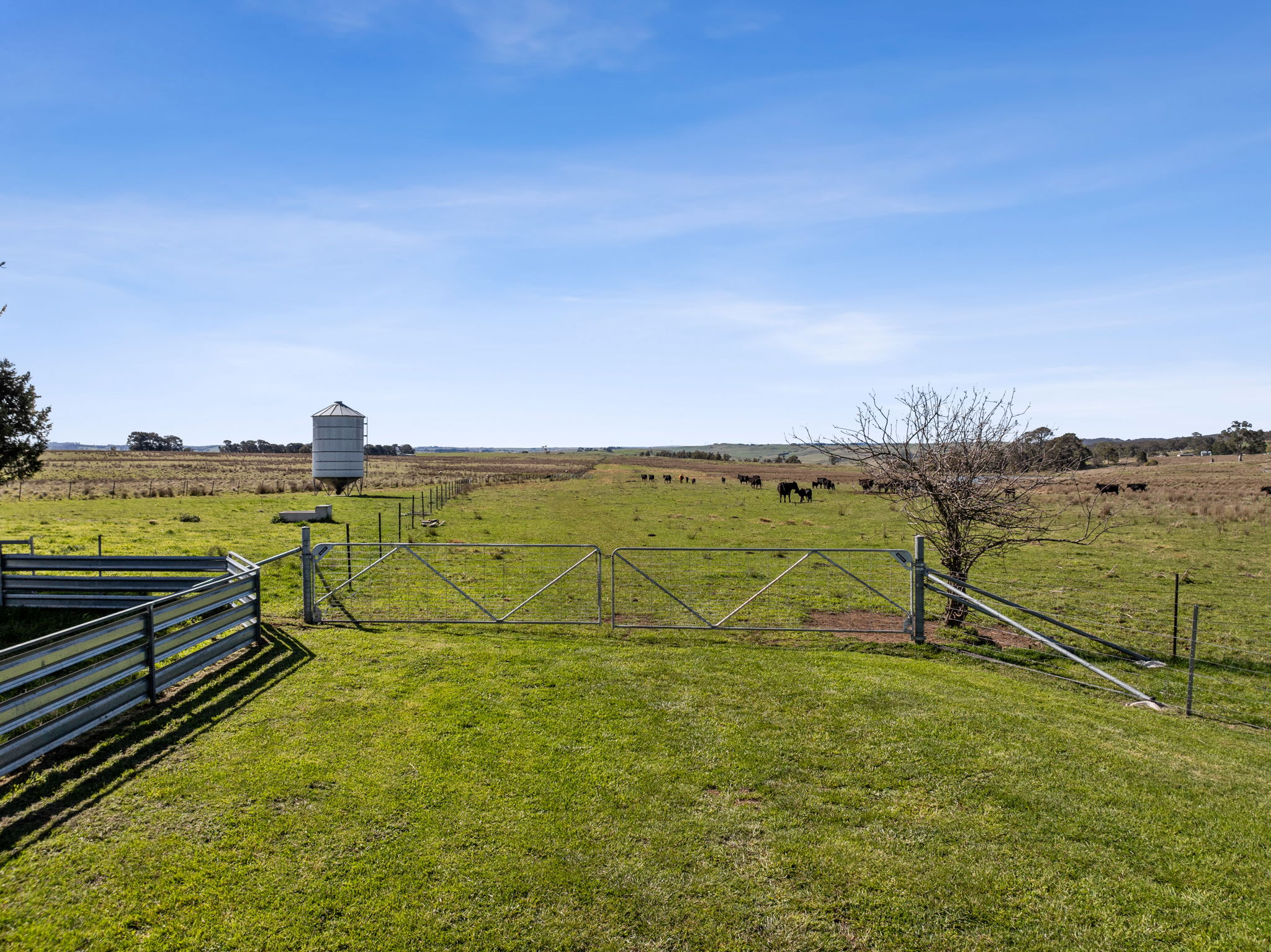 291 Chapmans Lane, Taralga, NSW 2580 Auction | Farmbuy.com
