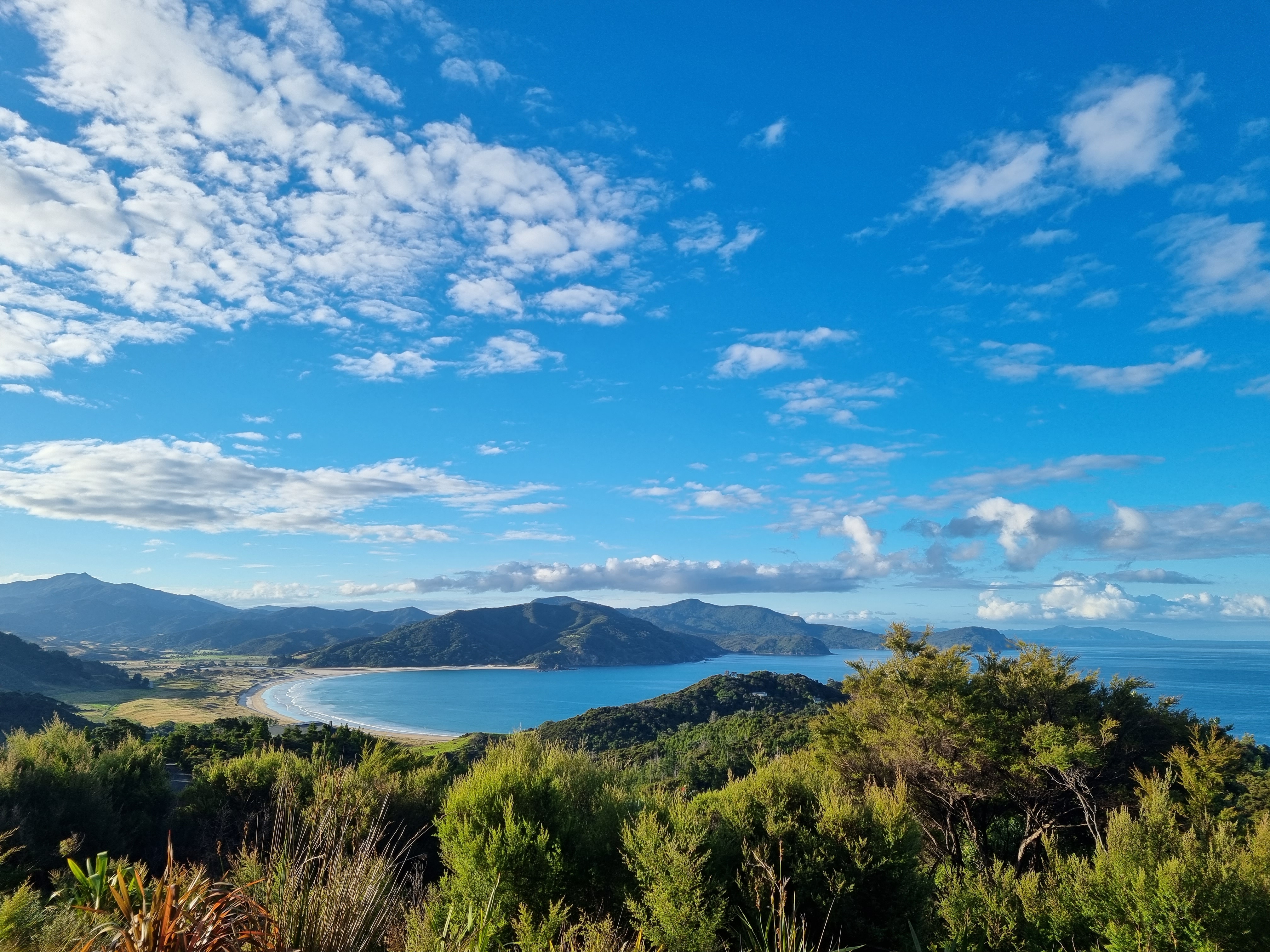 Magical Little Bay Vista | Property Search | Harcourts Coromandel ...