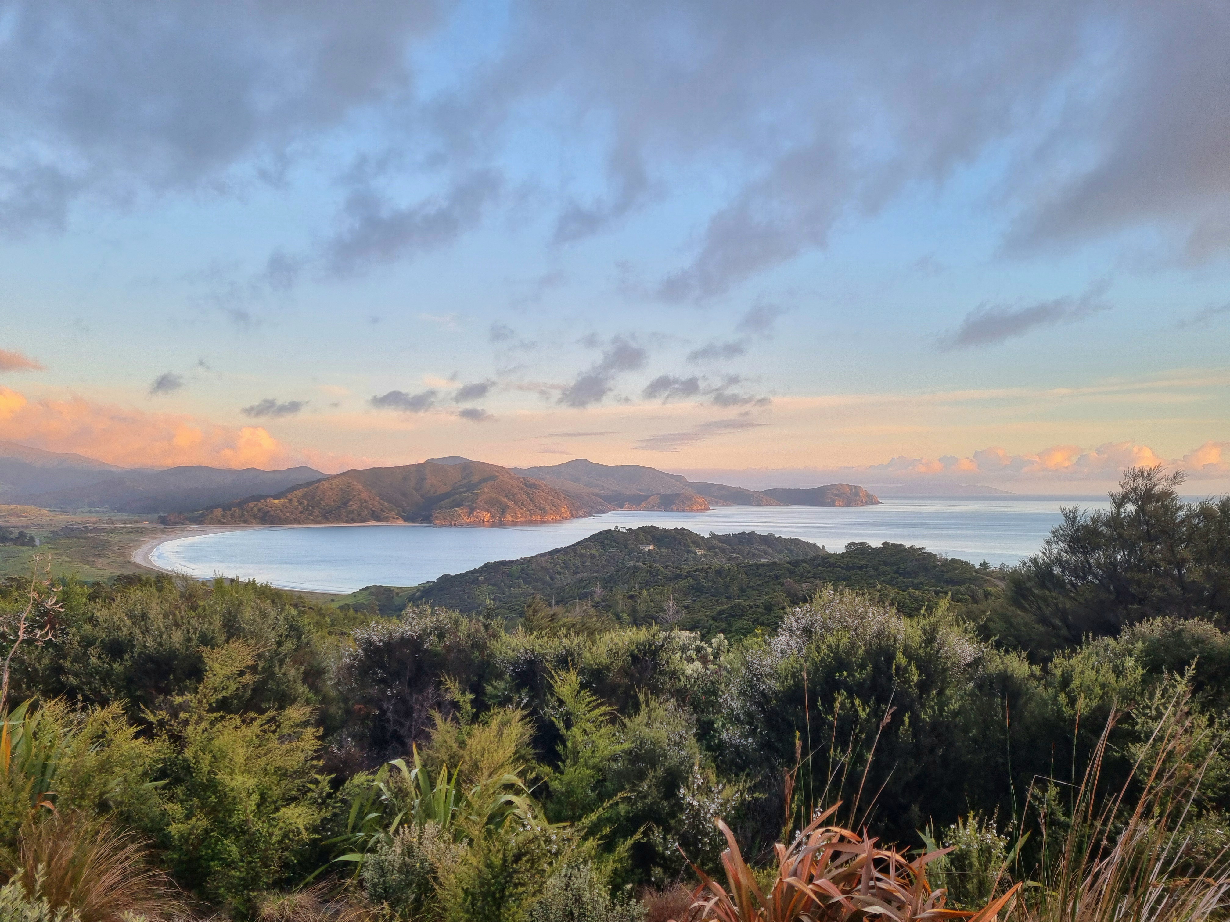Magical Little Bay Vista | Property Search | Harcourts Coromandel ...