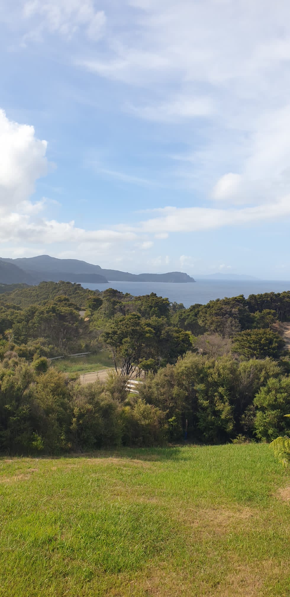 Panoramic Views AND Little Bay | Property Search | Harcourts Coromandel ...