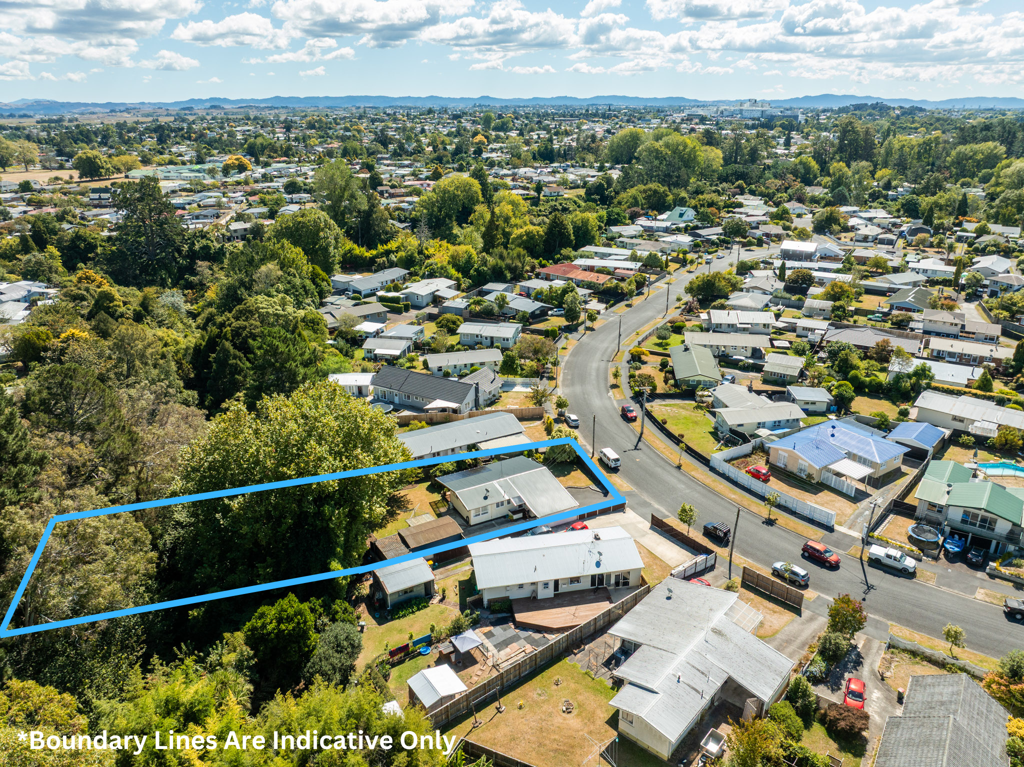 Buying a House in Hamilton | Harcourts Hamilton