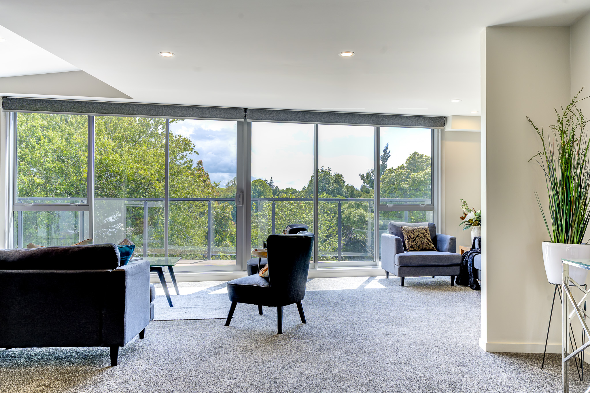 19A Rostrevor Street, Hamilton Central | Property For Sale | Harcourts ...